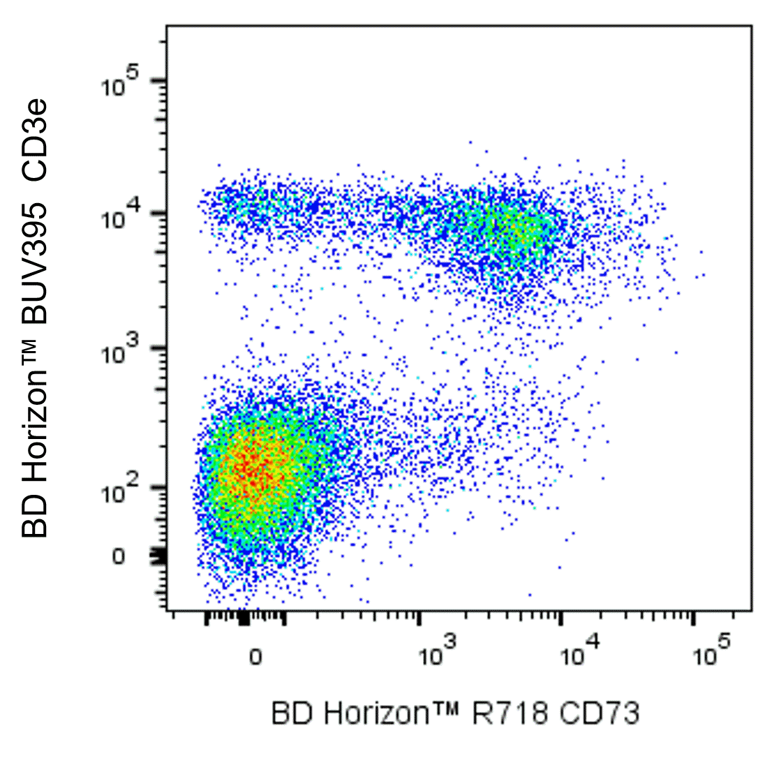 R718 Rat Anti-Mouse CD73