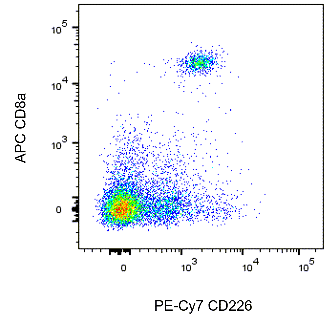PE-Cy7 Rat Anti-Mouse CD226
