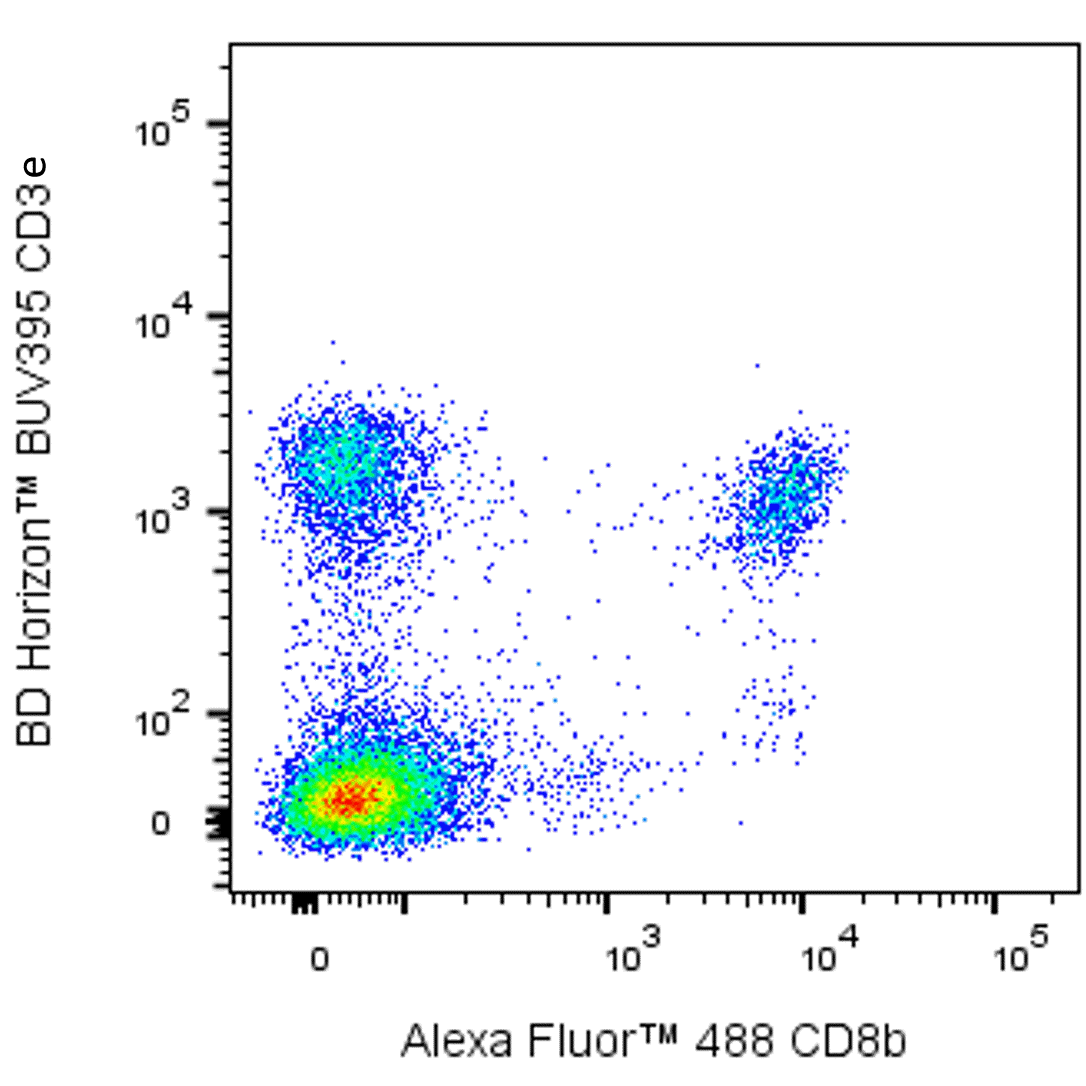 Alexa Fluor™ 488 Rat Anti-Mouse CD8b