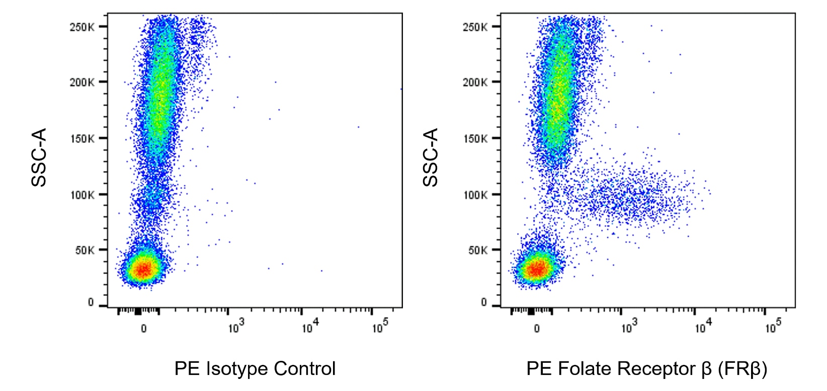 PE Mouse Anti-Human Folate Receptor β (FRβ)