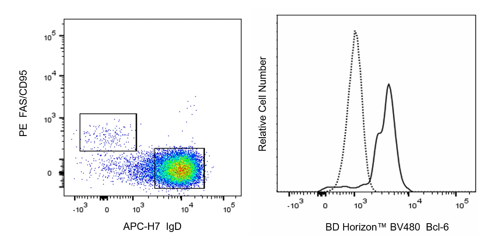 BV480 Mouse Anti-Bcl-6