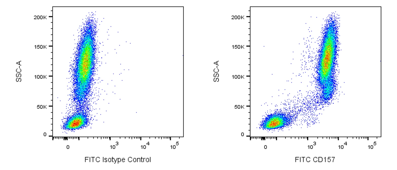FITC Mouse Anti-Human CD157