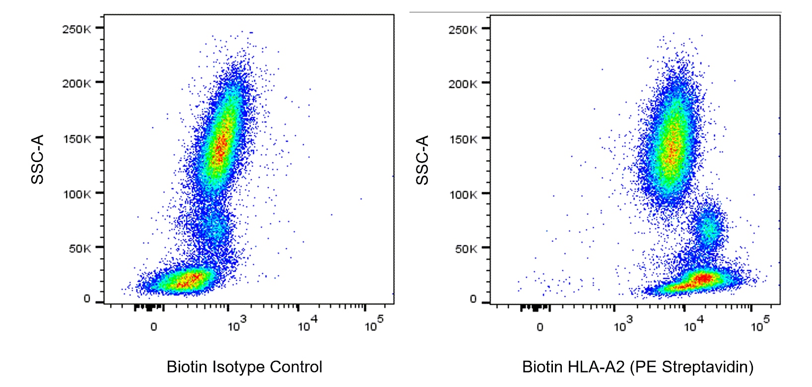 Biotin Mouse Anti-Human HLA-A2