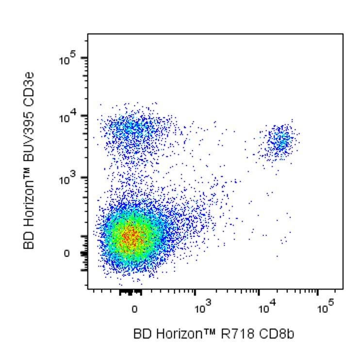R718 Rat Anti-Mouse CD8b
