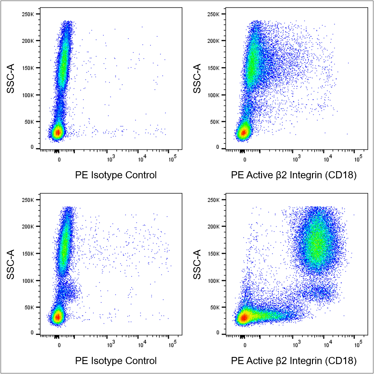 PE Mouse Anti-Human Active β2 Integrin (CD18)