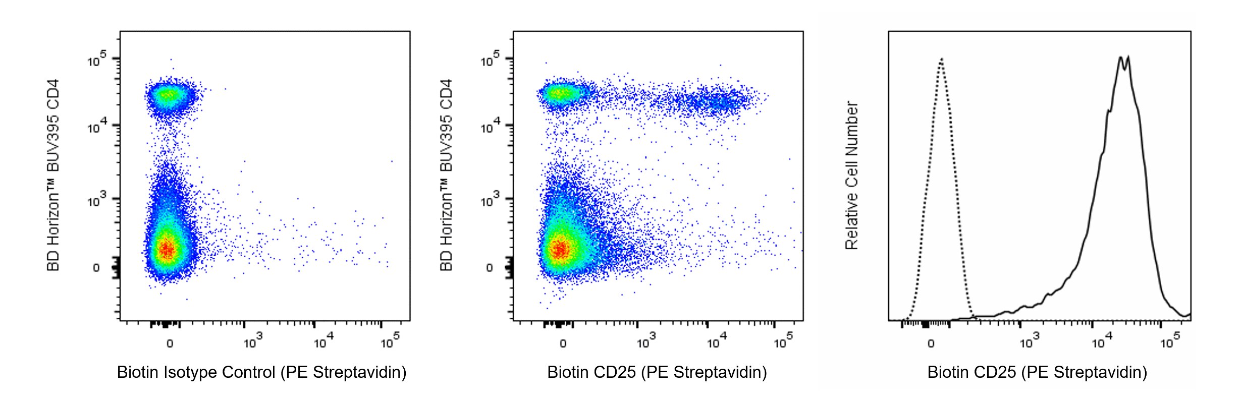 Biotin Rat Anti-Mouse CD25