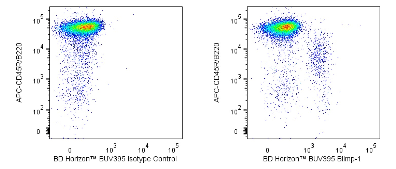 BUV395 Rat Anti-Mouse Blimp-1
