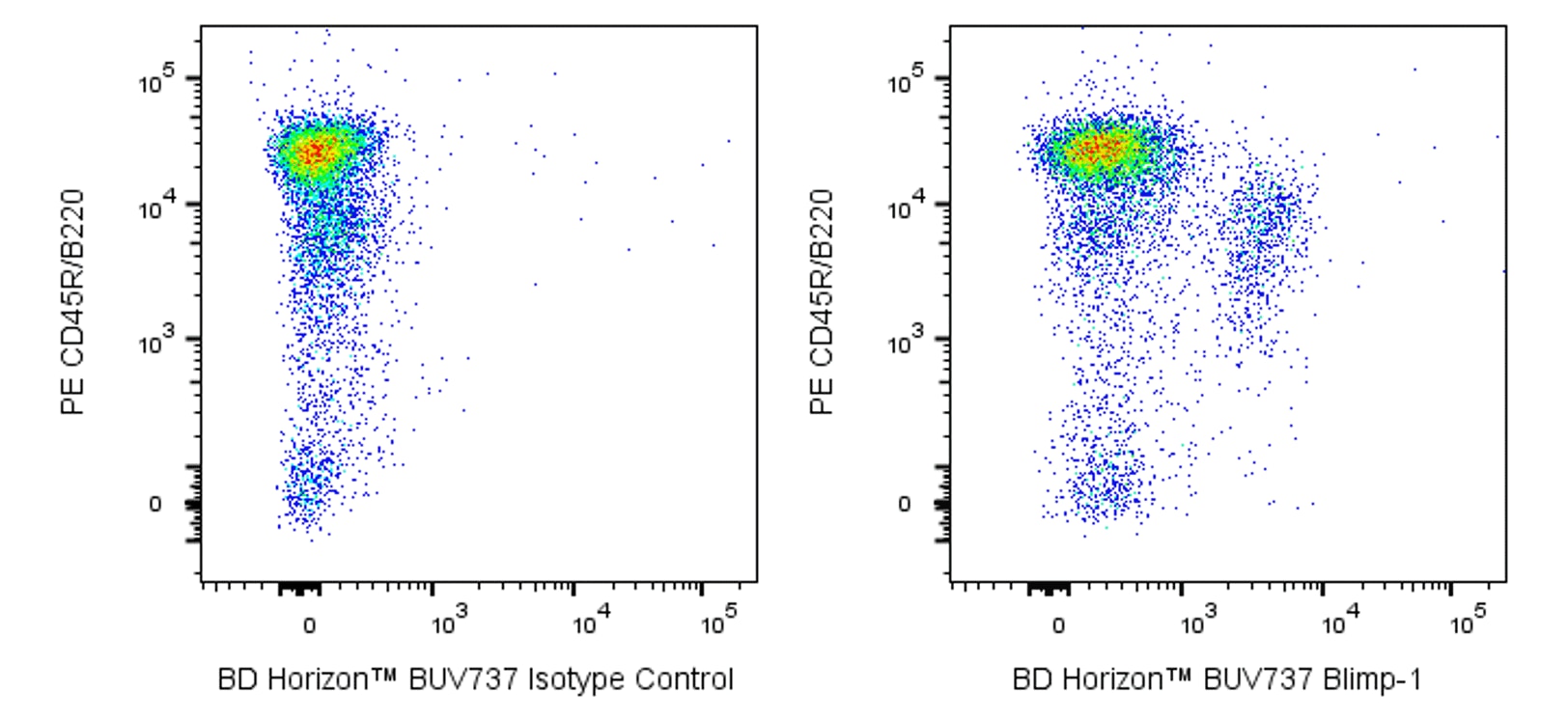 BUV737 Rat Anti-Mouse Blimp-1