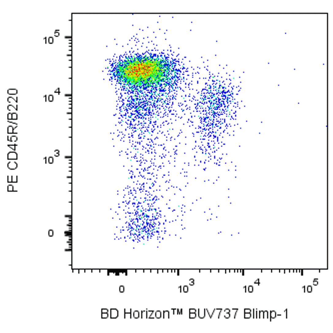 BUV737 Rat Anti-Mouse Blimp-1