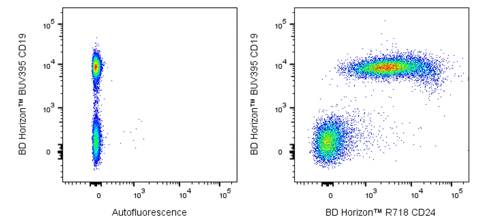R718 Rat Anti-Mouse CD24