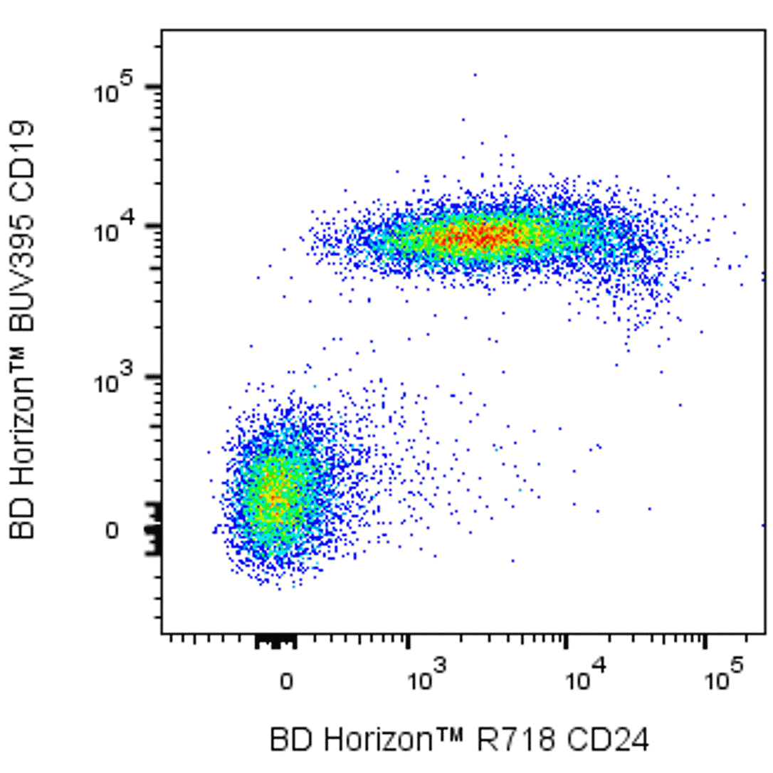 R718 Rat Anti-Mouse CD24