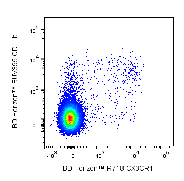 R718 Rat Anti-Mouse CX3CR1
