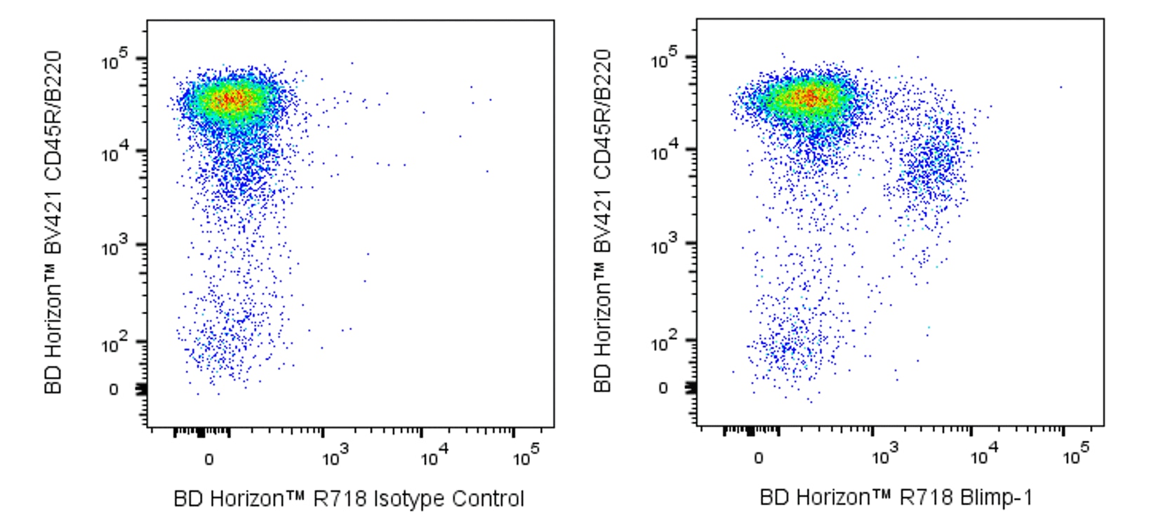 R718 Rat Anti-Mouse Blimp-1