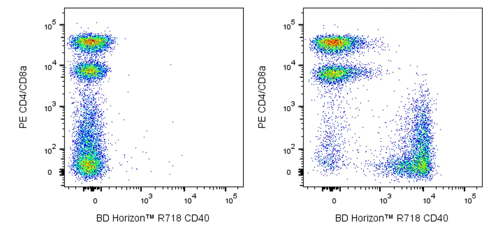 R718 Rat Anti-Mouse CD40