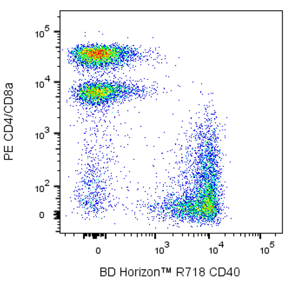 R718 Rat Anti-Mouse CD40