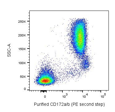 Purified Mouse Anti-Human CD172a/b