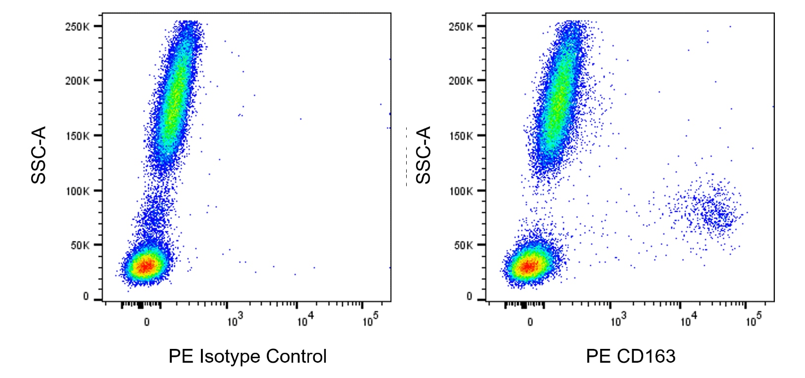 PE Mouse Anti-Human CD163