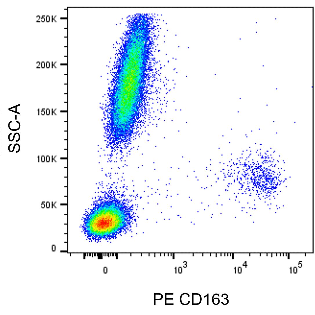 PE Mouse Anti-Human CD163
