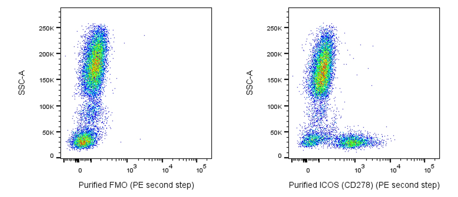 Purified Armenian Hamster Anti-ICOS (CD278)