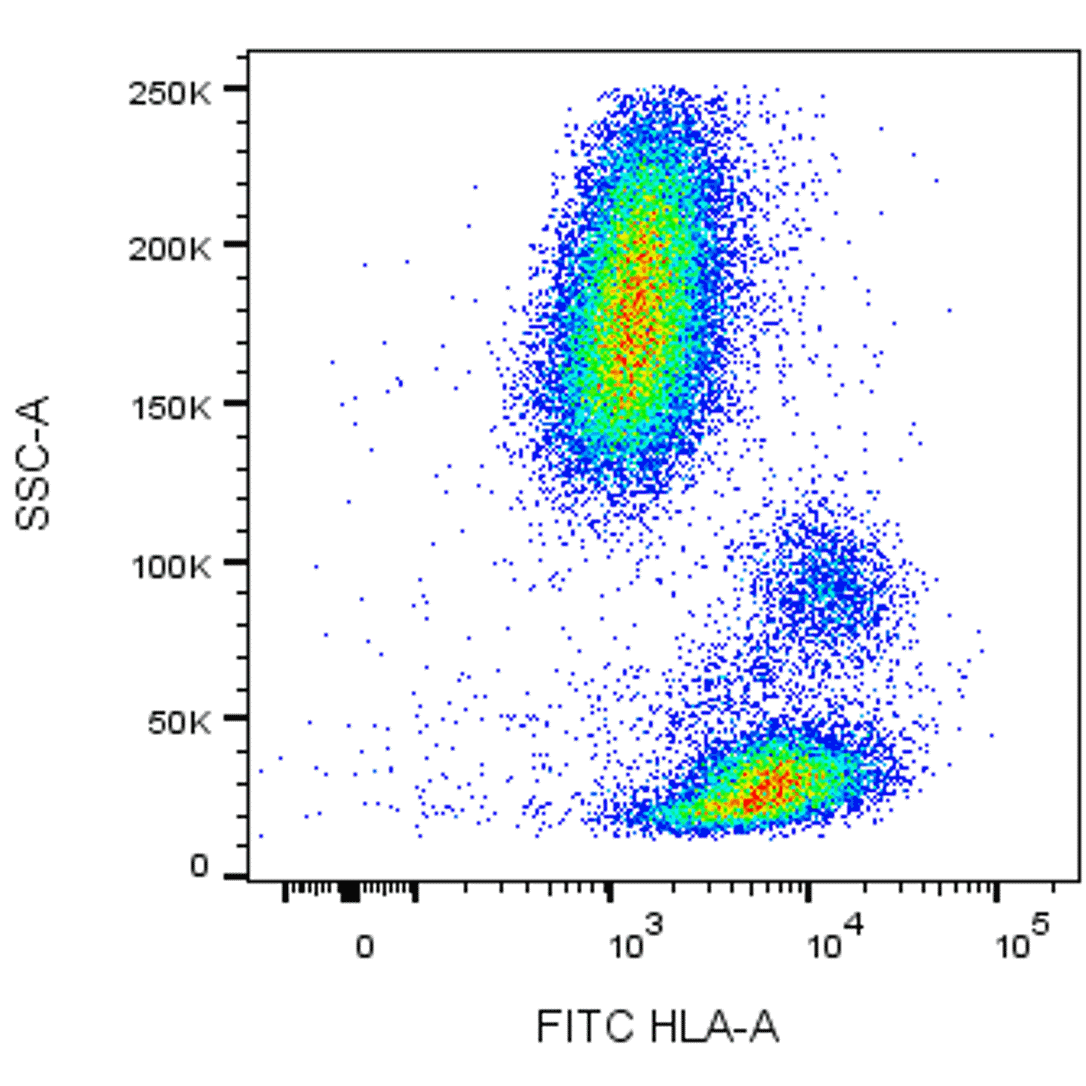 FITC Mouse Anti-Human HLA-A