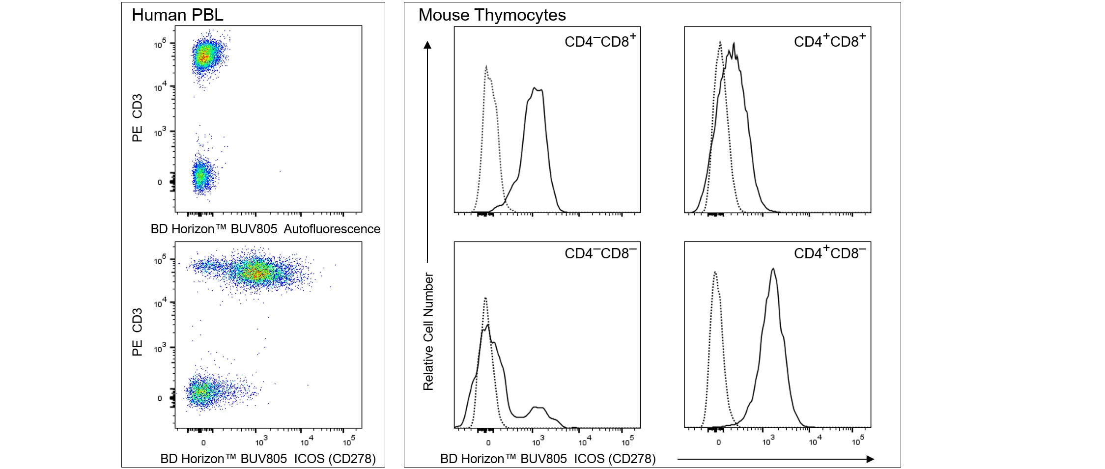 BUV805 Armenian Hamster Anti-ICOS (CD278)