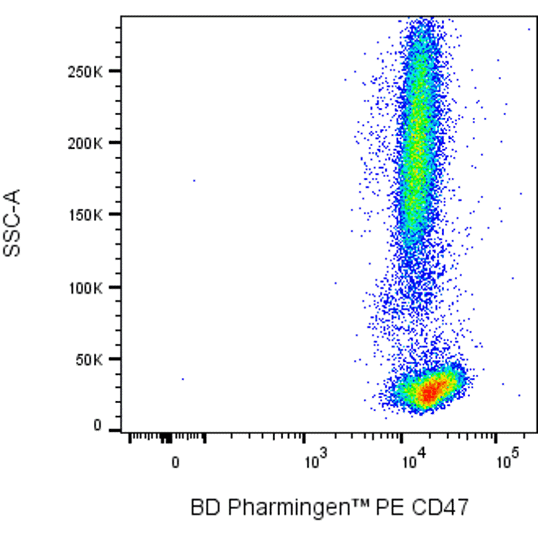 PE Mouse Anti-Human CD47