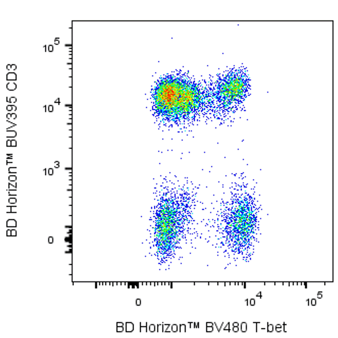 BV480 Mouse Anti-T-bet