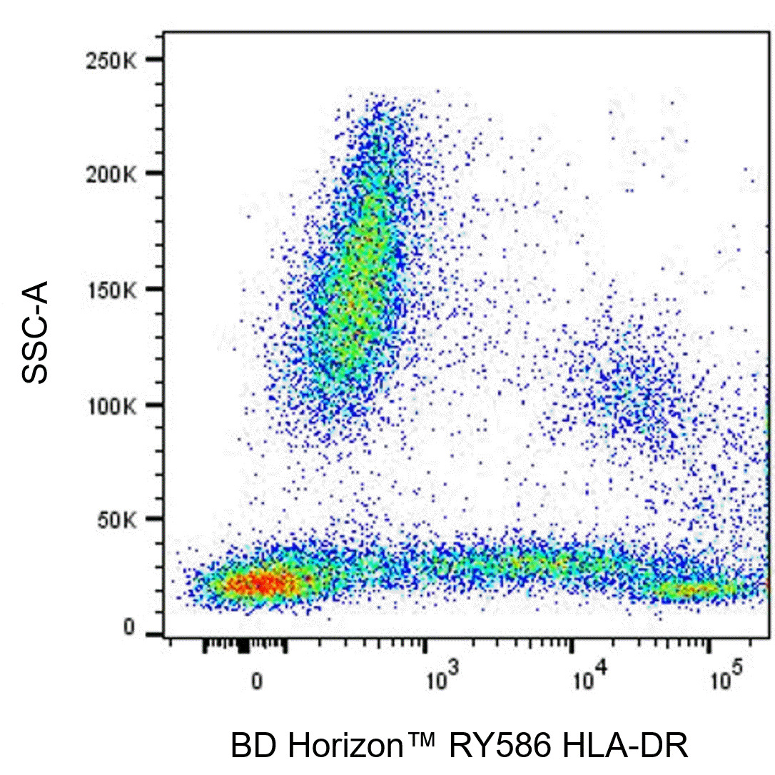 RY586 Mouse Anti-Human HLA-DR