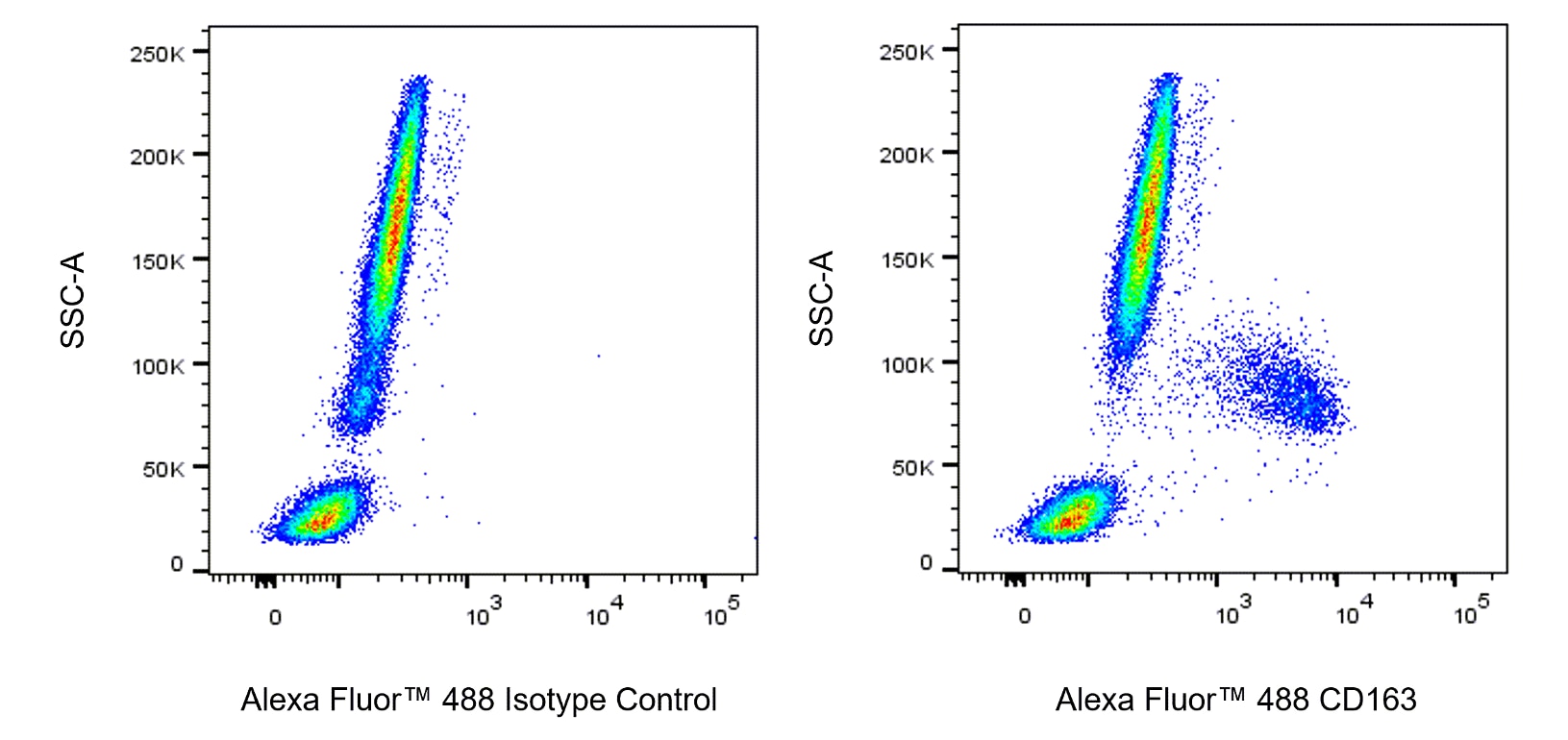 Alexa Fluor™ 488 Mouse Anti-Human CD163
