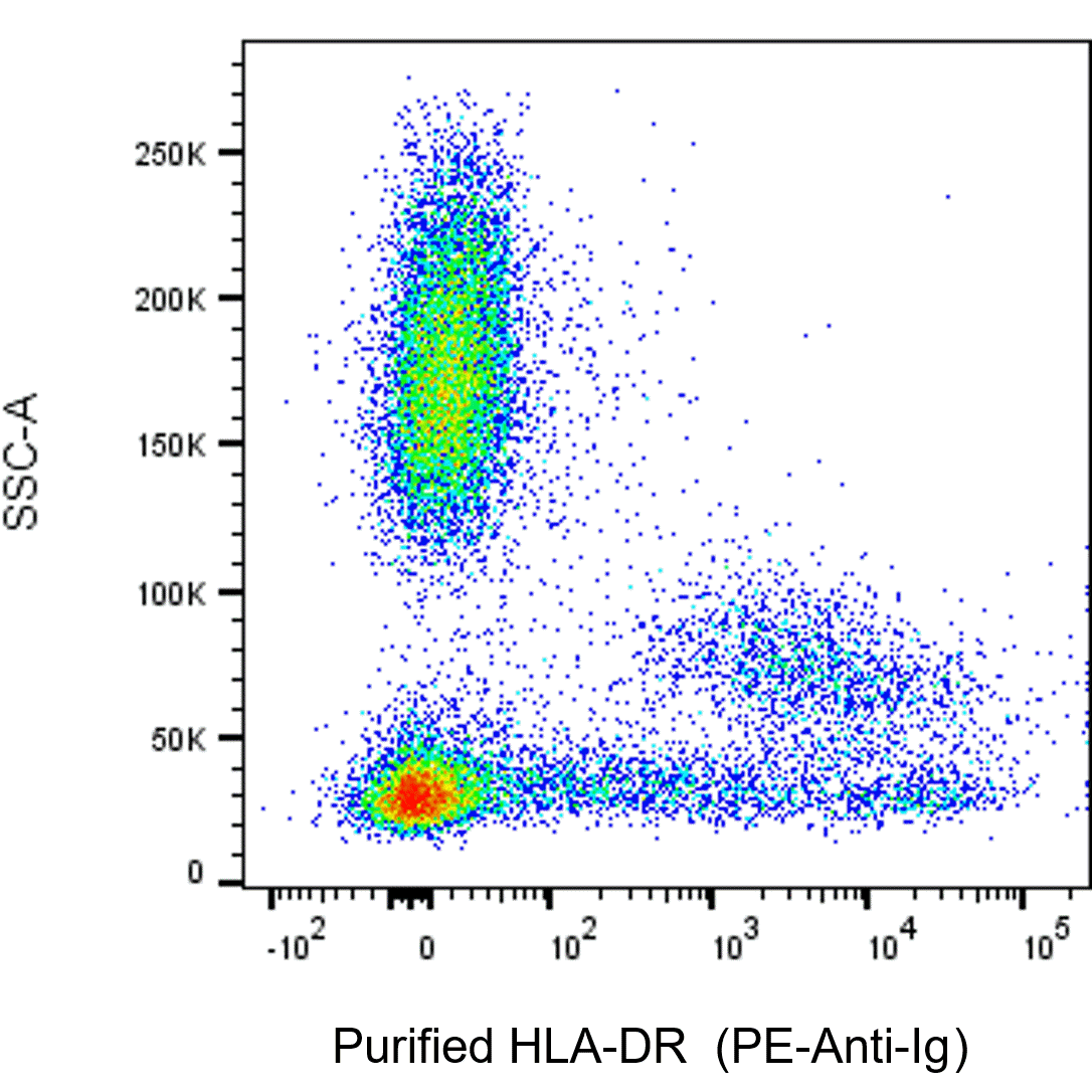 Purified Mouse Anti-Human HLA-DR