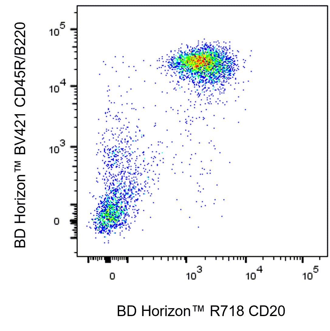 R718 Rat Anti-Mouse CD20