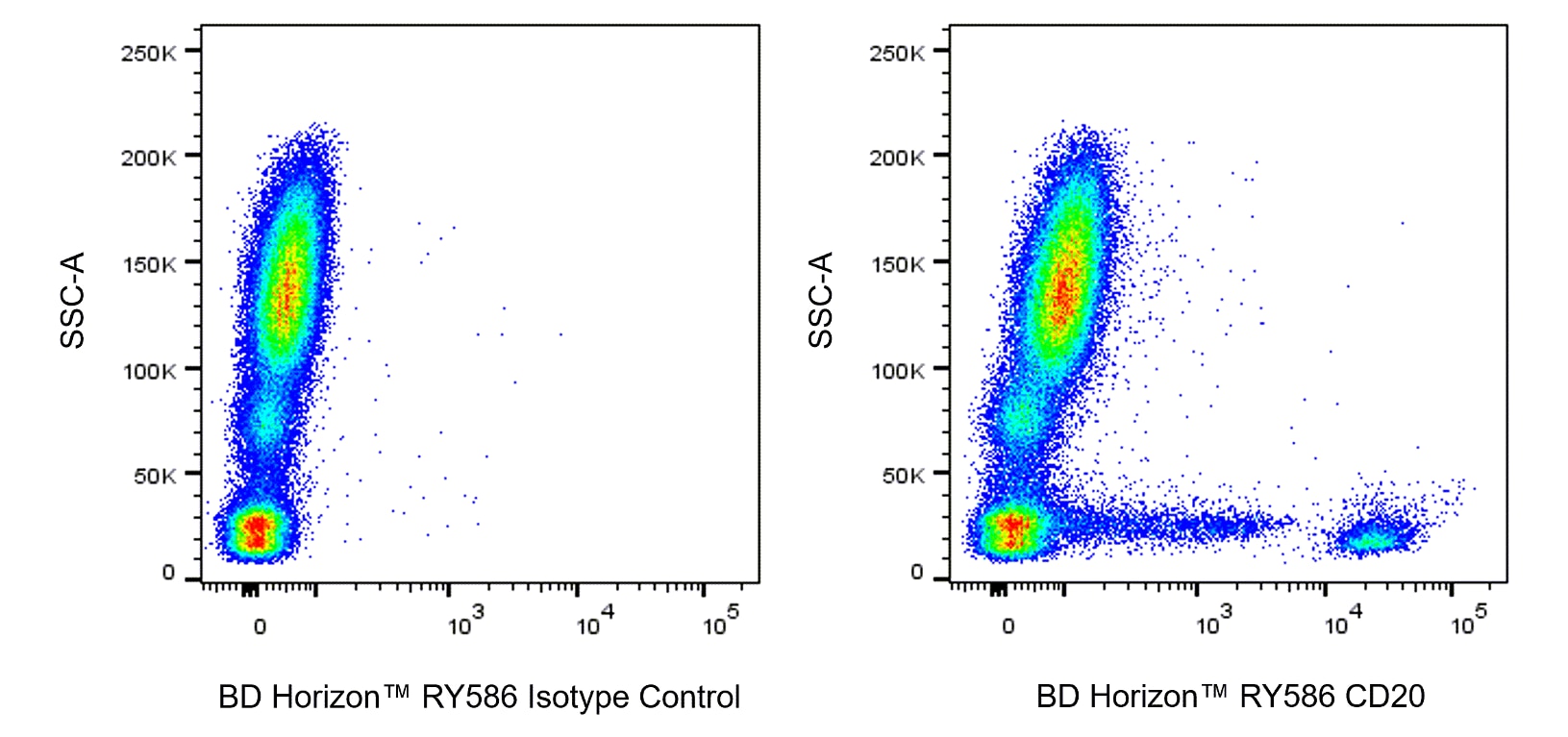 RY586 Mouse Anti-Human CD20