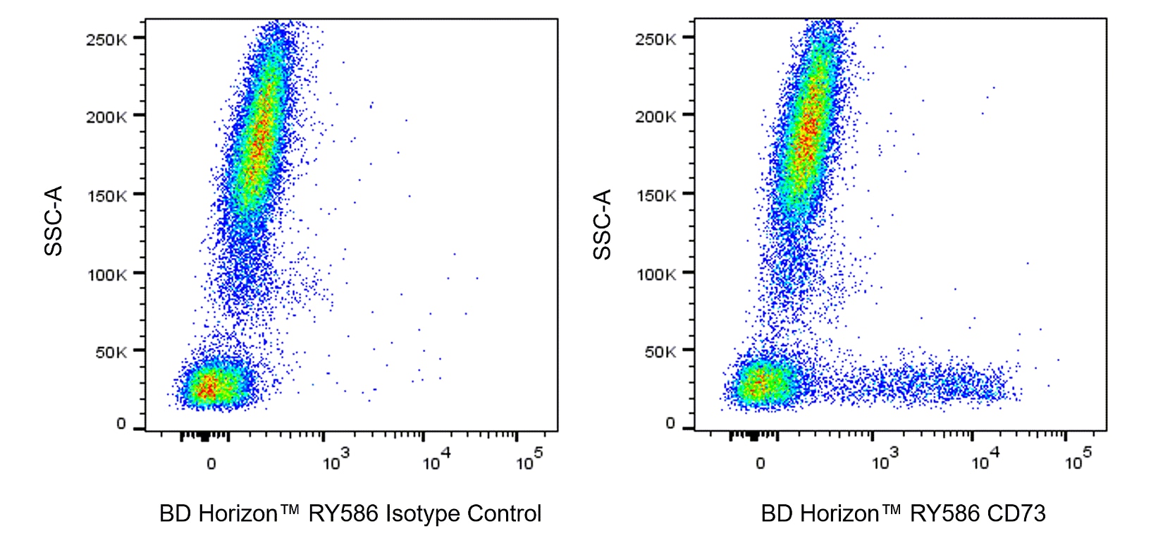 RY586 Mouse Anti-Human CD73