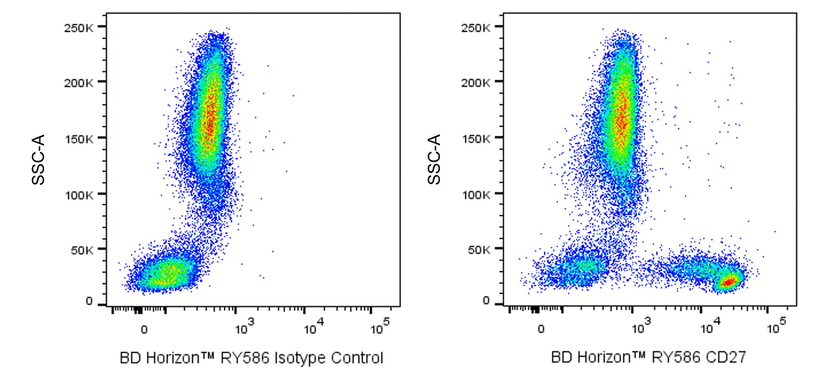 RY586 Mouse Anti-Human CD27