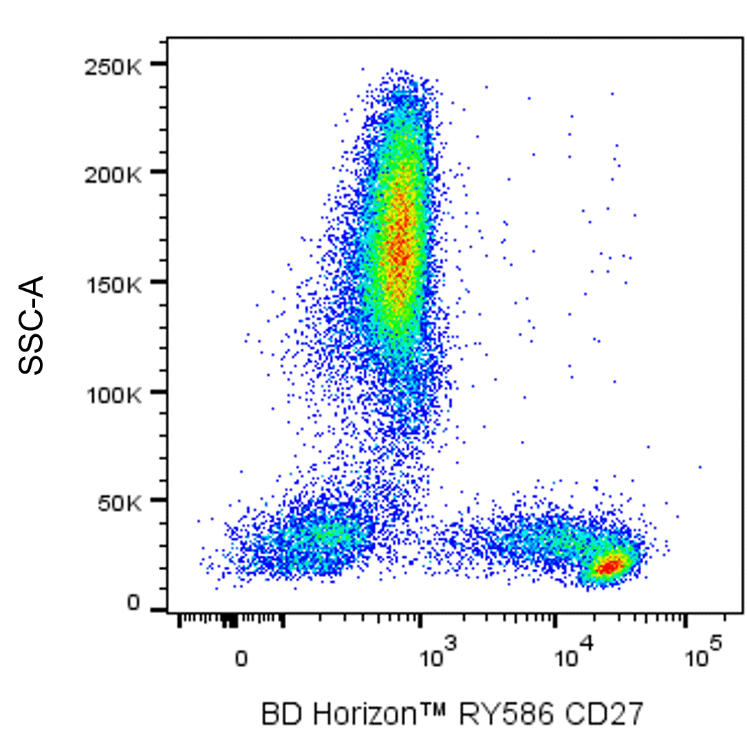 RY586 Mouse Anti-Human CD27