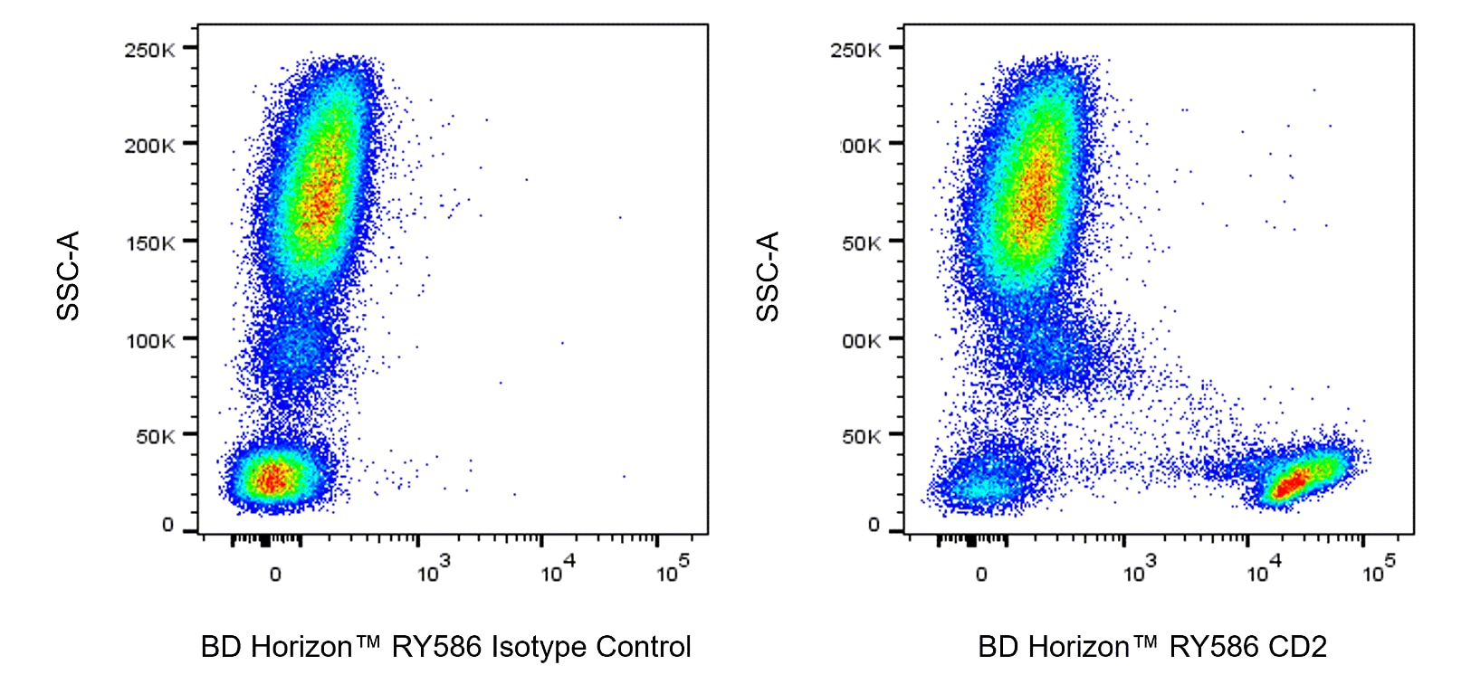 RY586 Mouse Anti-Human CD2