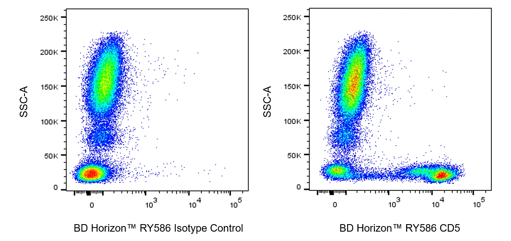 RY586 Mouse Anti-Human CD5
