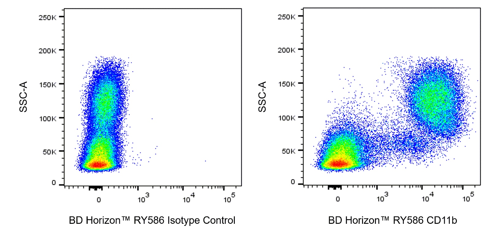 RY586 Rat Anti-CD11b