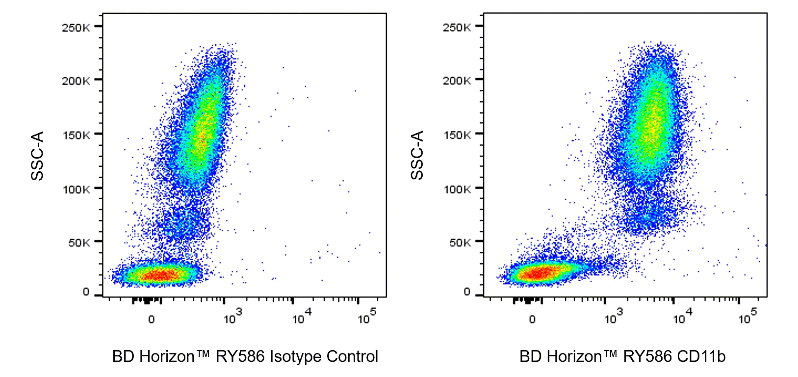 RY586 Rat Anti-CD11b