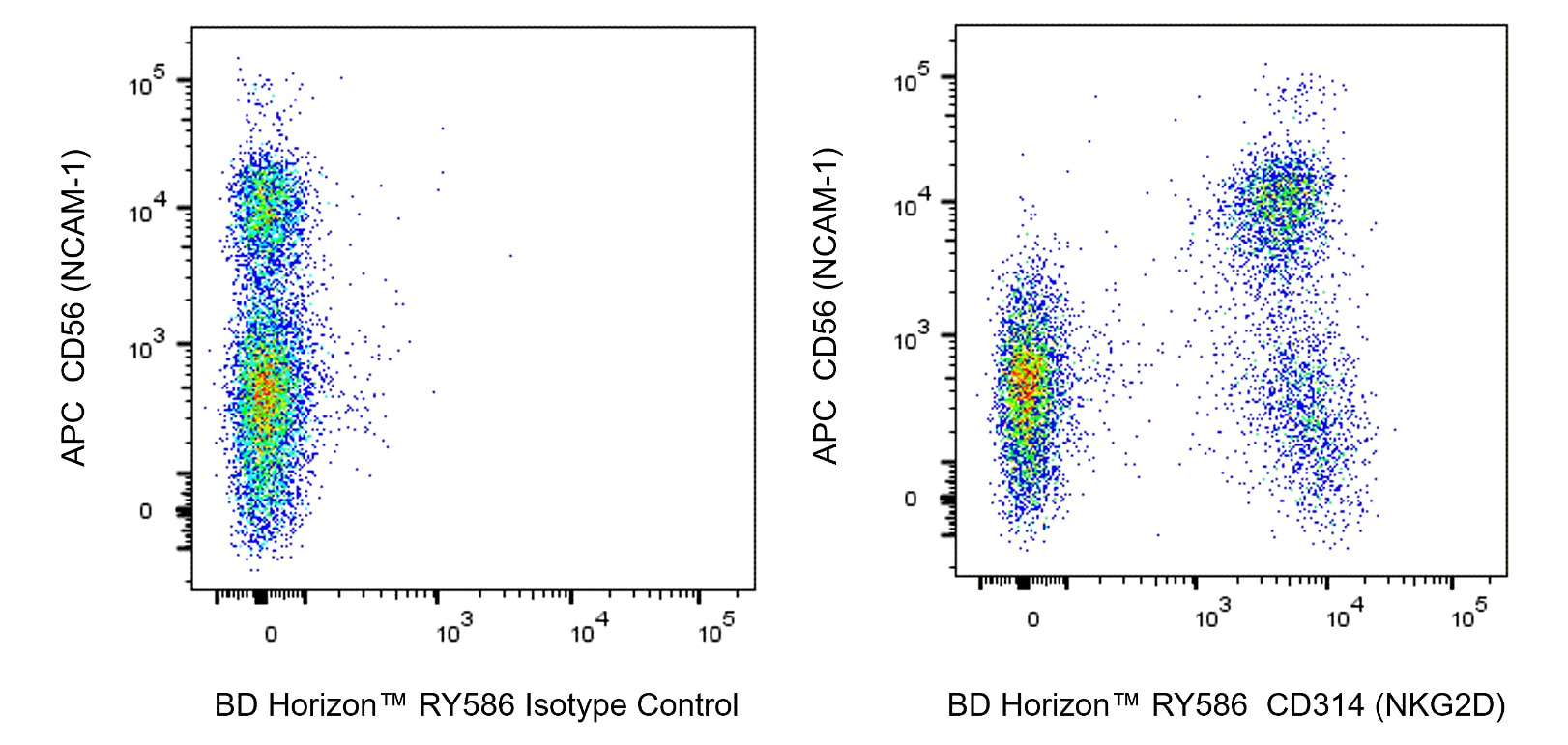 RY586 Mouse Anti-Human CD314 (NKG2D)