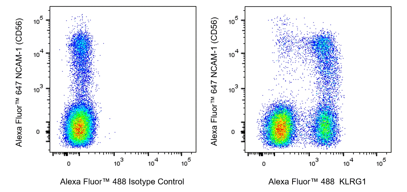 Alexa Fluor™ 488 Mouse Anti-Human KLRG1