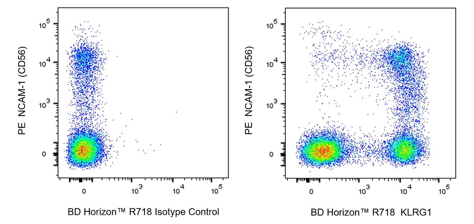 R718 Mouse Anti-Human KLRG1