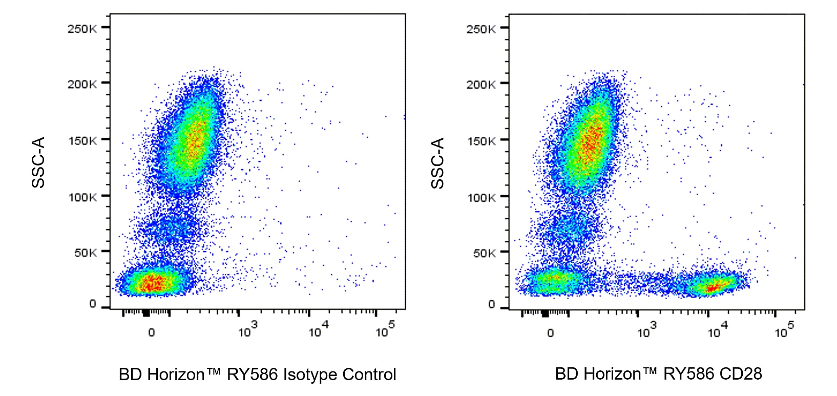 RY586 Mouse Anti-Human CD28