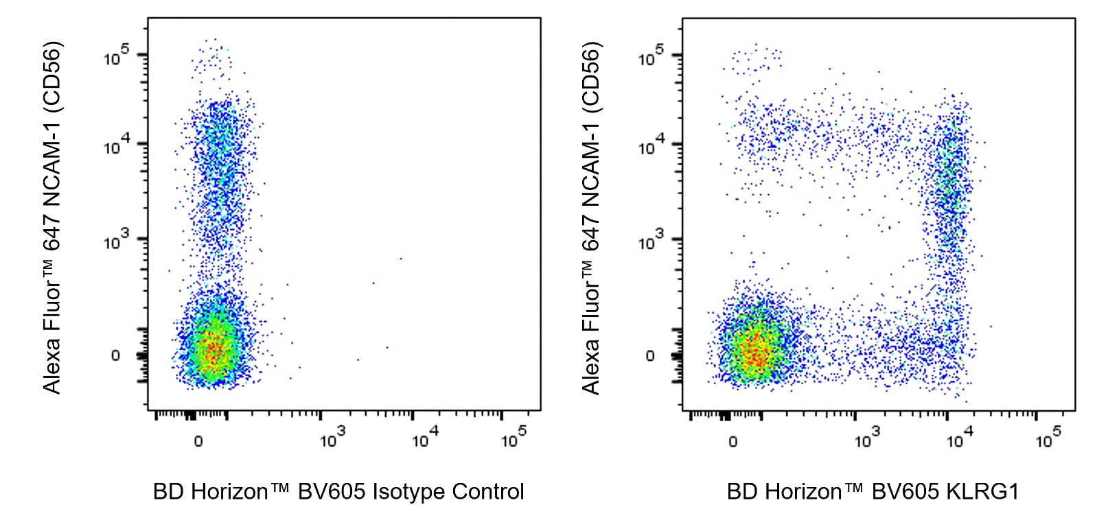 BV605 Mouse Anti-Human KLRG1