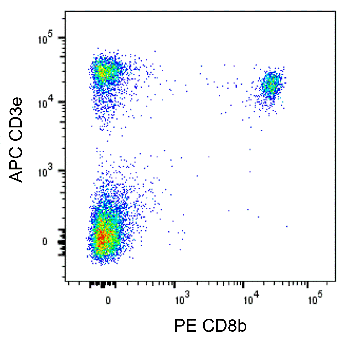 PE Rat Anti-Mouse CD8b
