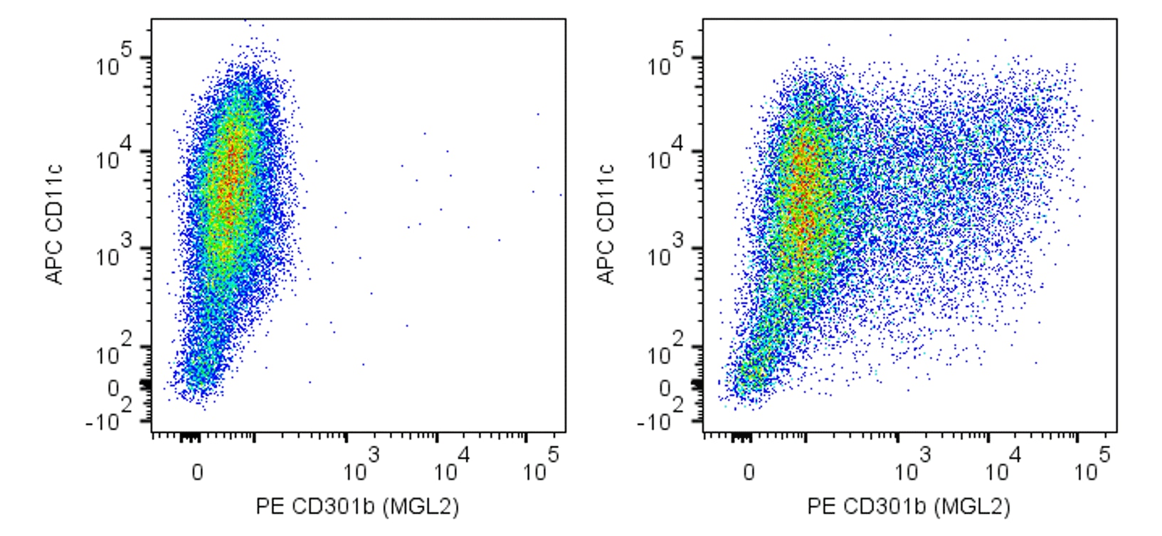 PE Rat Anti-Mouse CD301b (Mgl2)