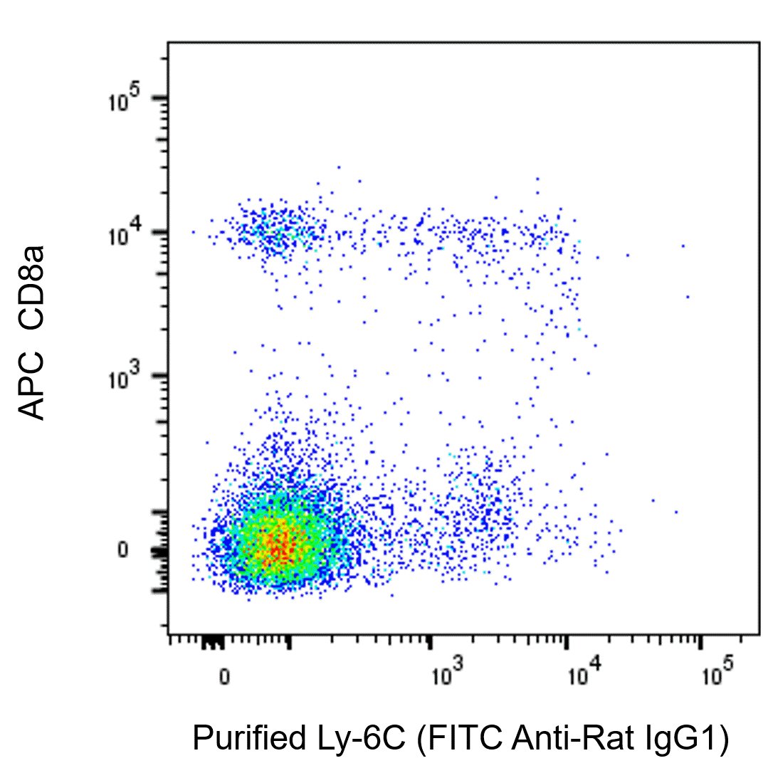 Purified Rat Anti-Mouse Ly-6C