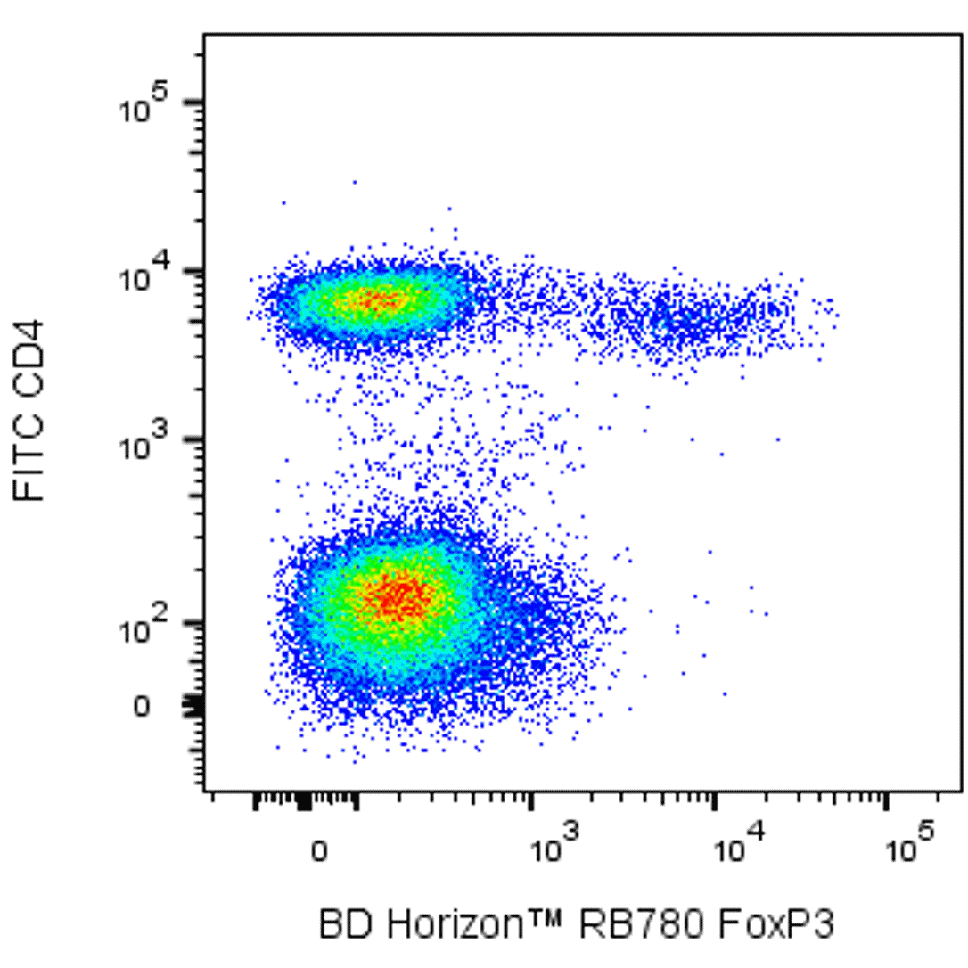 RB780 Mouse Anti-Human FoxP3