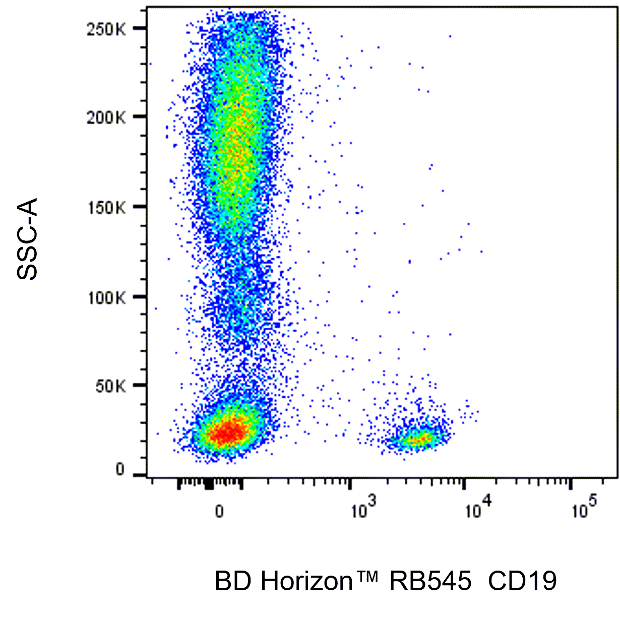 RB545 Mouse Anti-Human CD19