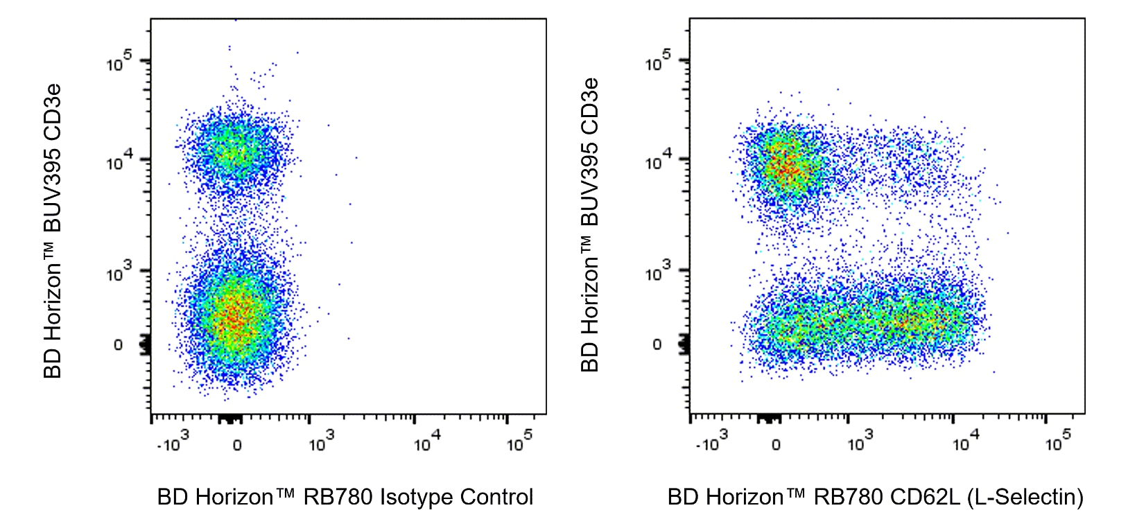 RB780 Rat Anti-Mouse CD62L (L-Selectin)